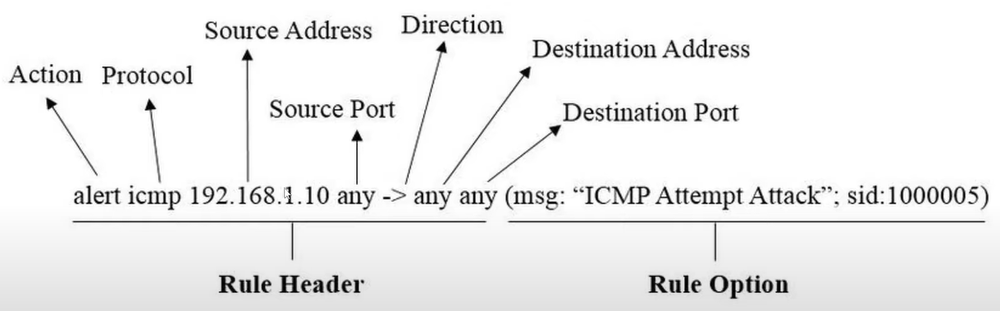Introduction to Snort